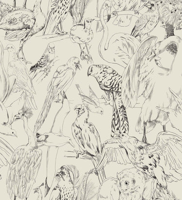 Aviary Wallpaper Collection